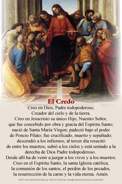 Spanish Bilingual Catholic Prayer Cards - St Therese of Lisieux - St ...