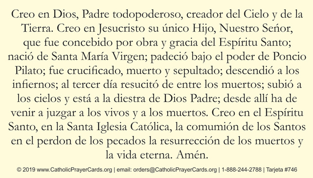 SPANISH - Apostle's Creed Prayer Card
