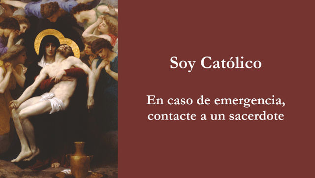 Spanish Bilingual Catholic Prayer Cards - St Therese of Lisieux - St ...